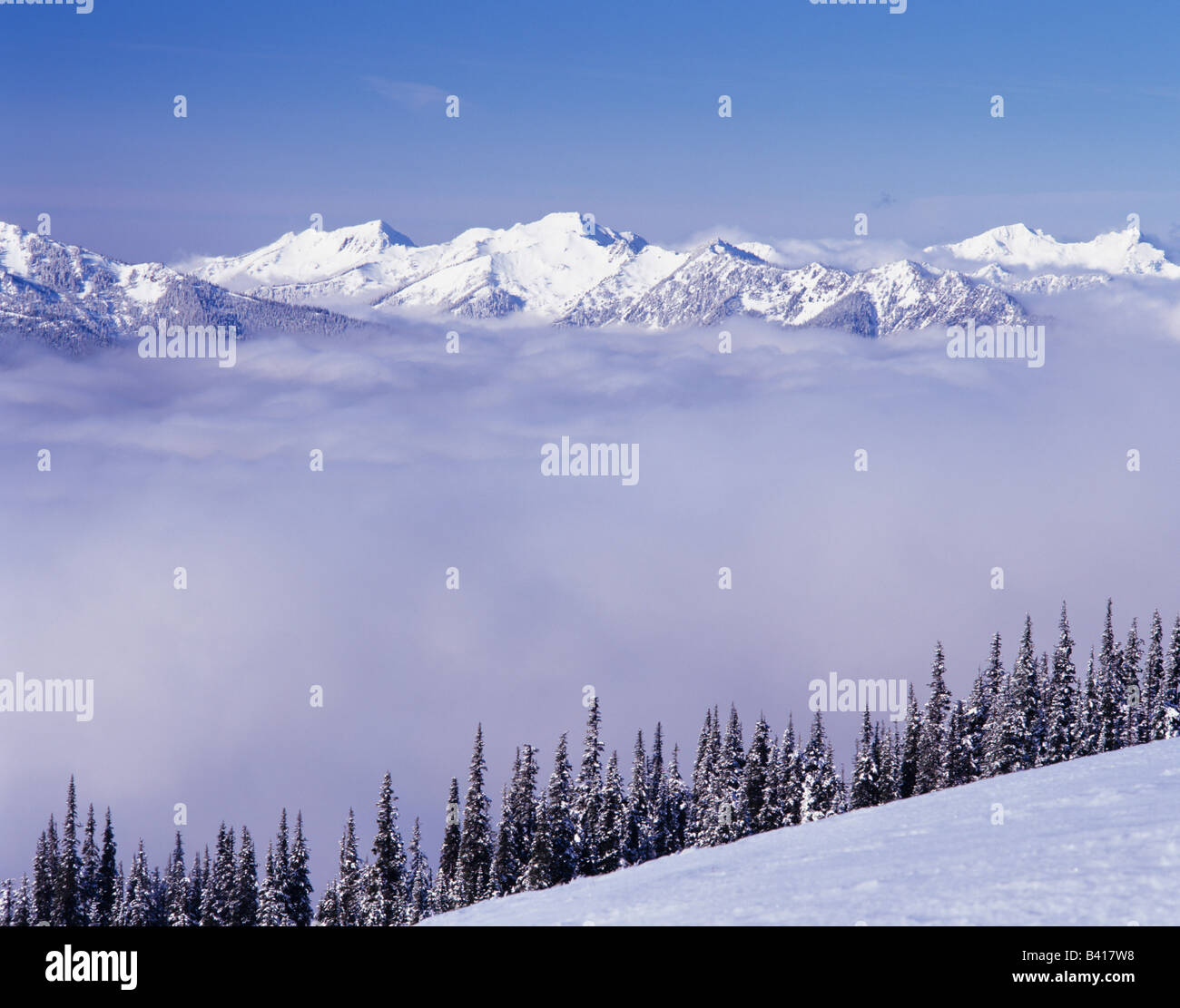 WA, Olympic National Park, Olympic Mountain Range after snow storm at ...