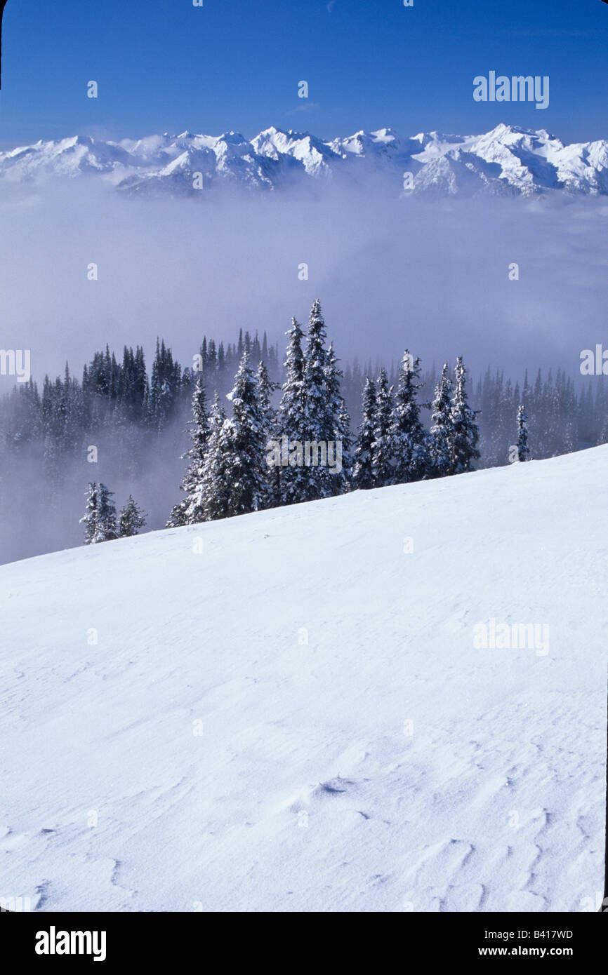 WA, Olympic National Park, Olympic Mountain Range after winter snow ...