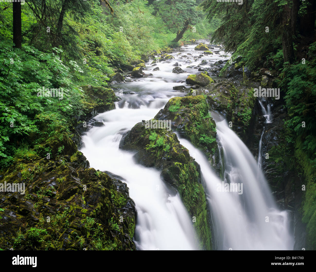 WA, Olympic National Park, Sol Duc Falls and Sol Duc River Stock Photo ...