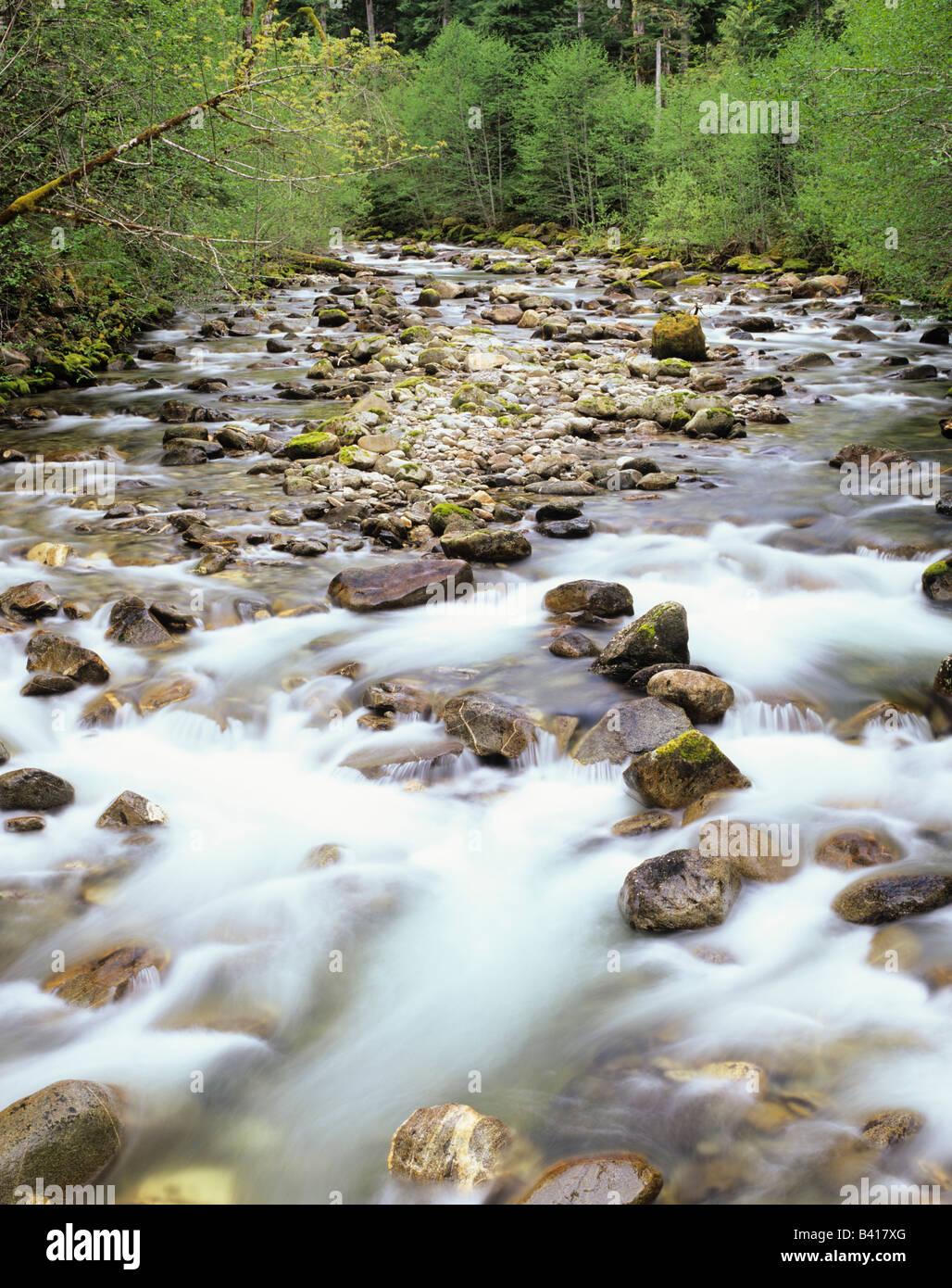 WA, Ross Lake NRA, Newhalem Creek Stock Photo - Alamy
