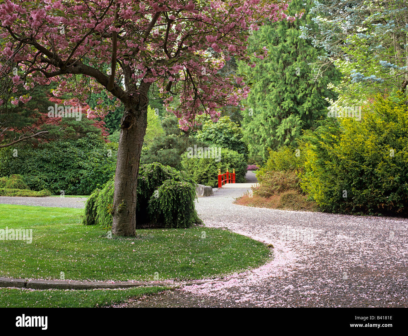 WA, Seattle, Kubota Garden, Path to the Bridge Stock Photo - Alamy