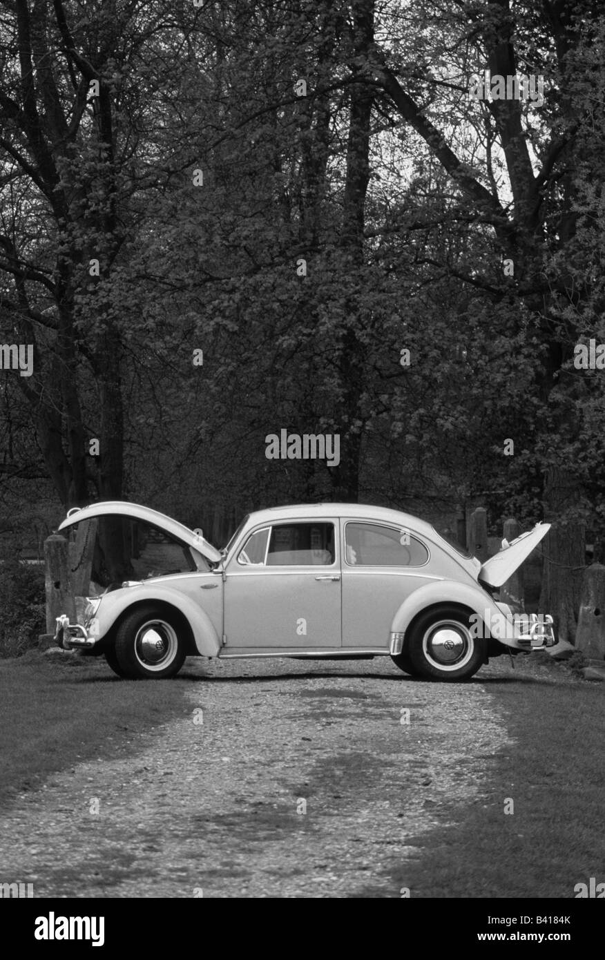 Vw beetle side view Black and White Stock Photos & Images - Alamy