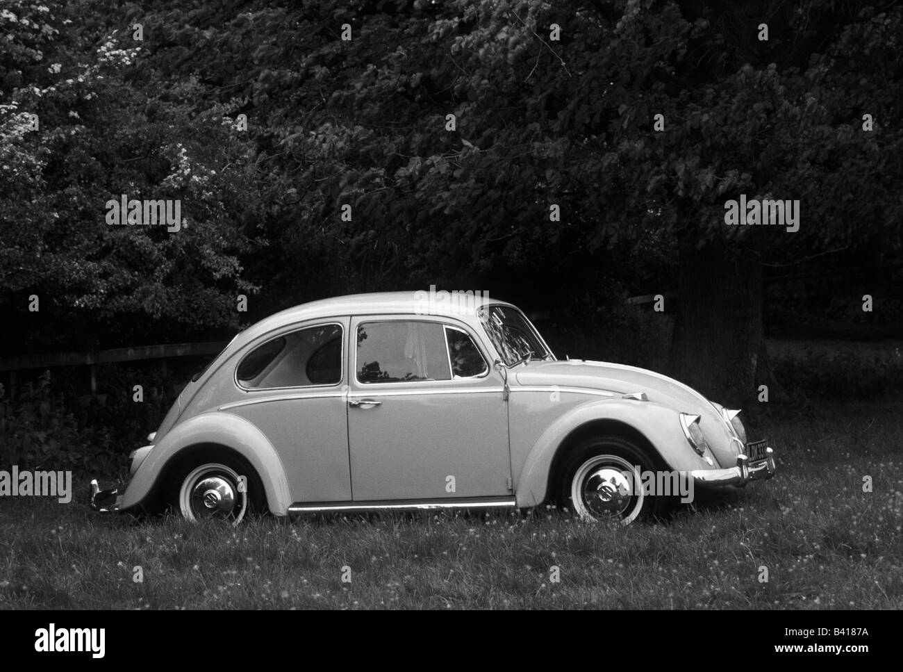 Vw beetle side view Black and White Stock Photos & Images - Alamy