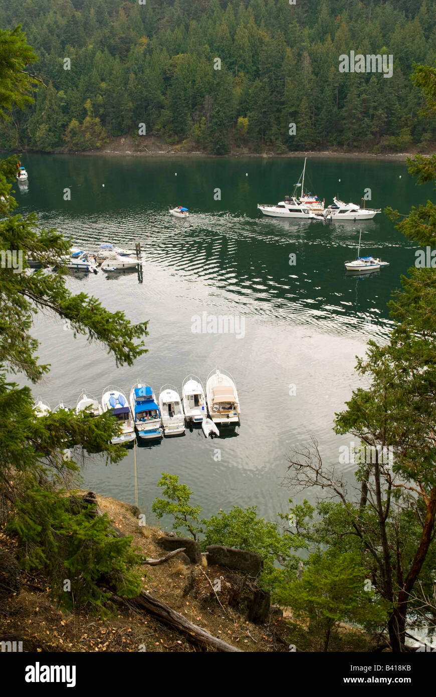 USA, WA, San Juans. Reid Harbor, Stuart Island. Popular harbor for ...
