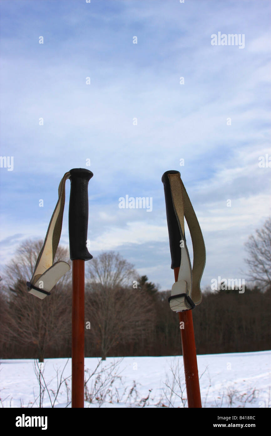 Two cross country ski poles stuck in a snowy field Stock Photo - Alamy