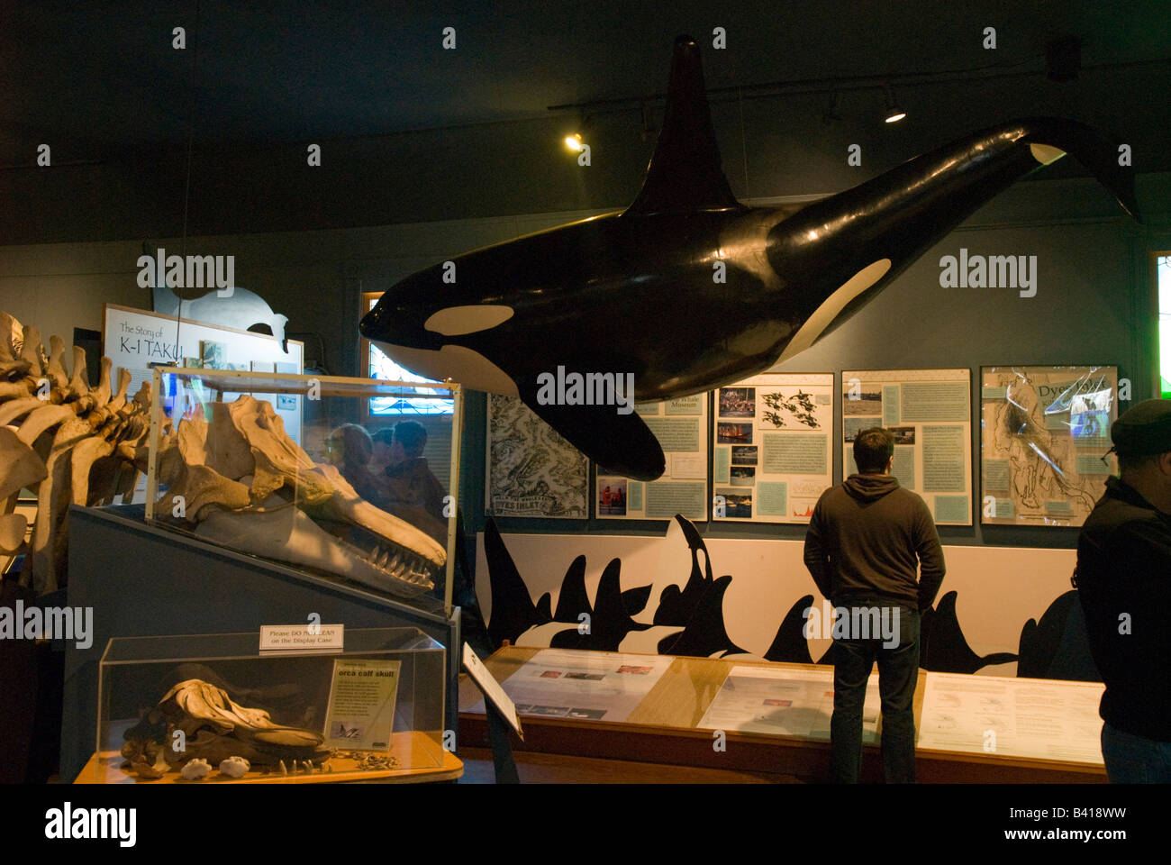 Friday harbor whale museum hi-res stock photography and images - Alamy