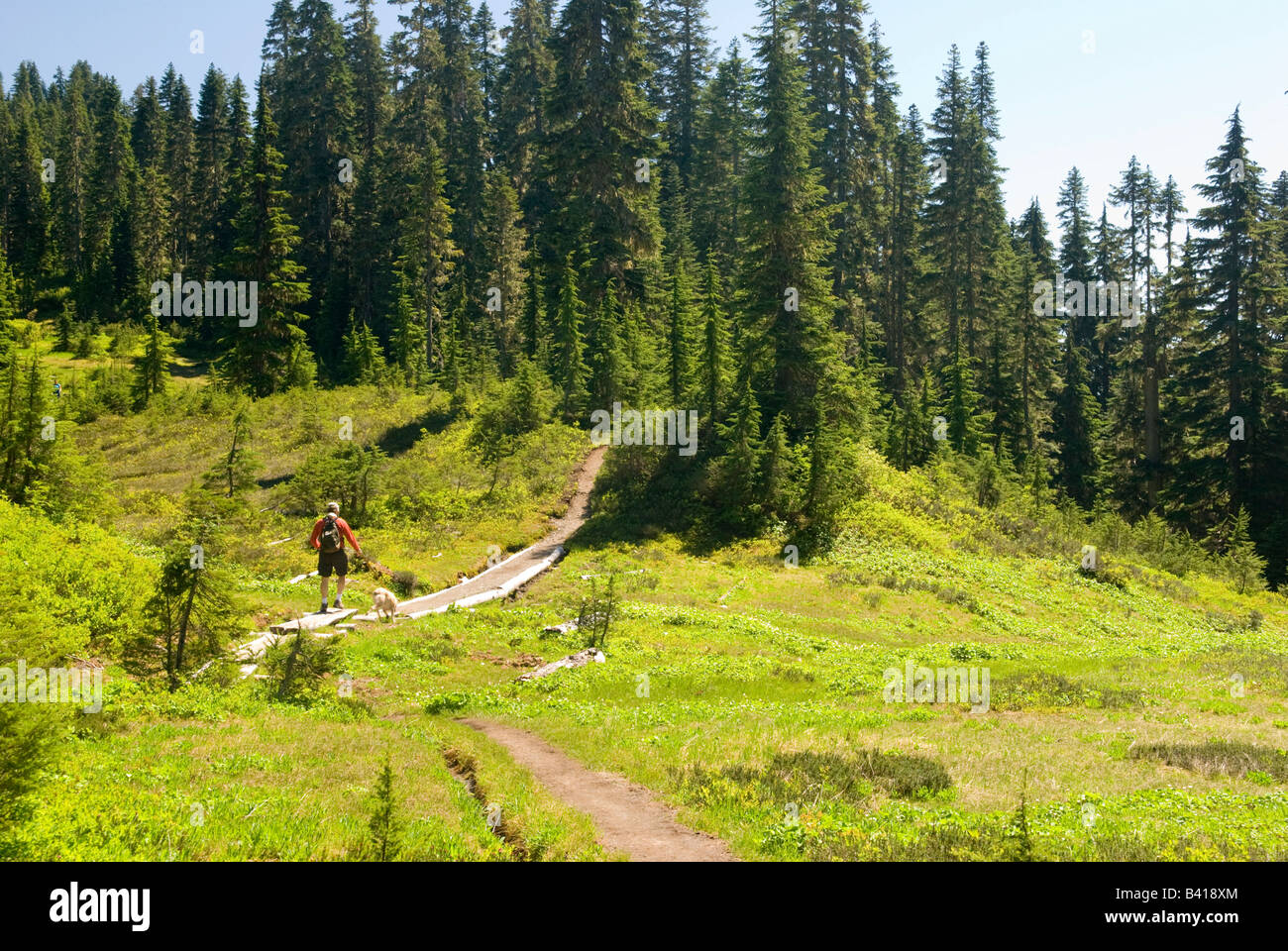 USA, WA, Mount Baker Snoqualmie National Forest. Hiker and dog on ...