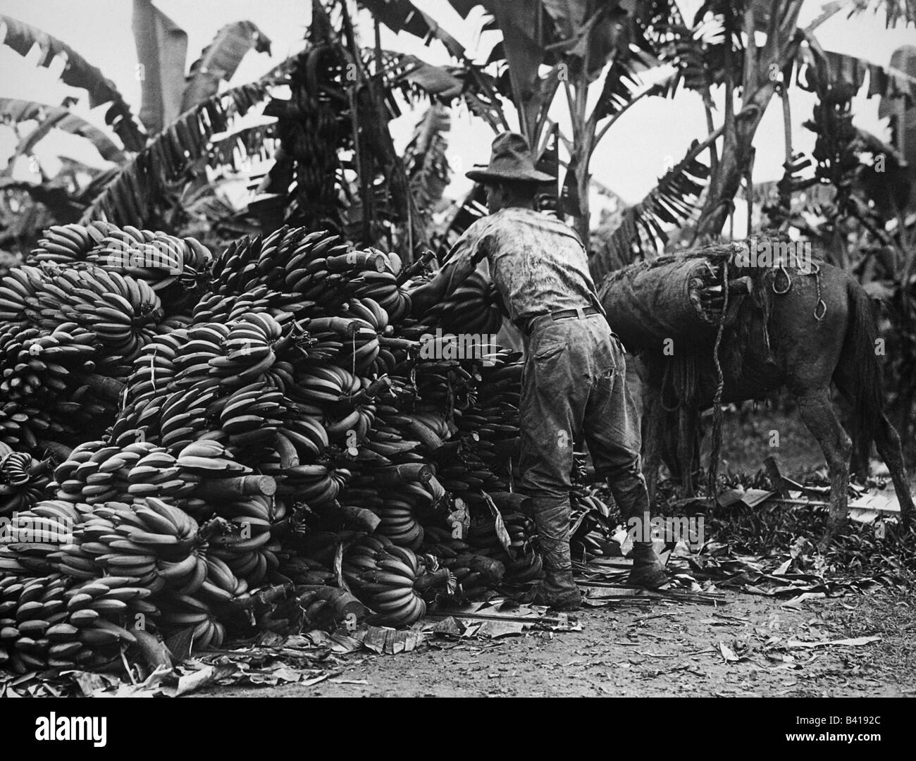 Agriculture 1920s america hi-res stock photography and images - Alamy