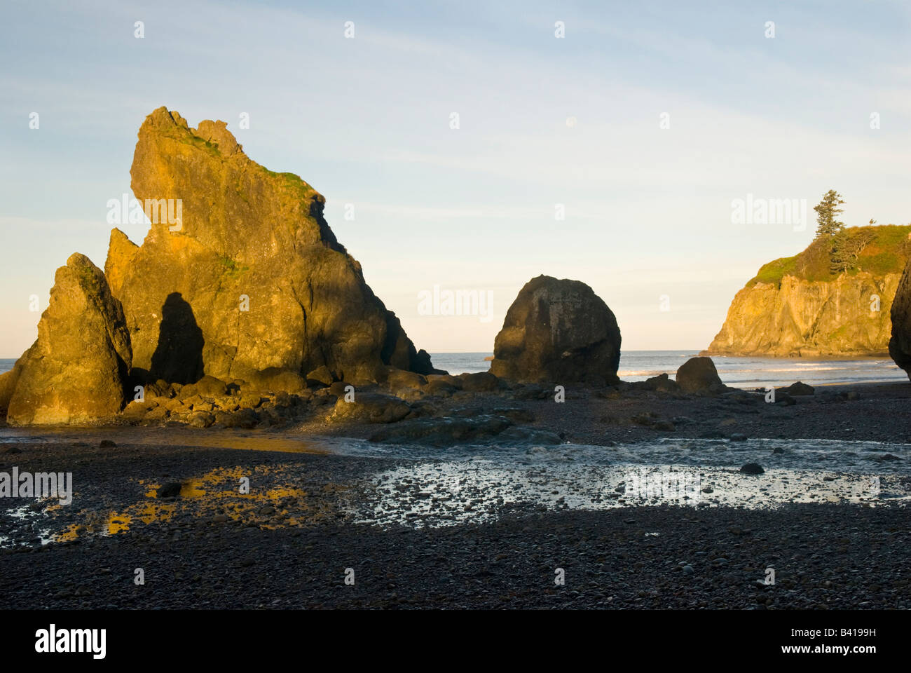 USA, WA, Olympic National Park. Sea stacks on Ruby Beach early morning ...