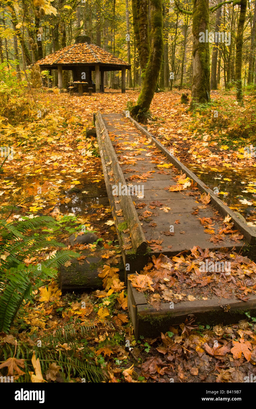 Elwha hi-res stock photography and images - Alamy