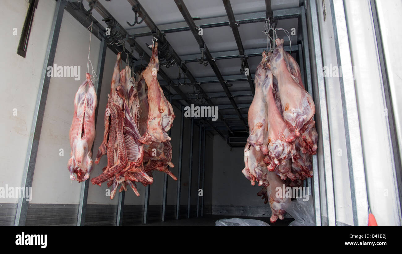 Pig carcasses hi-res stock photography and images - Alamy