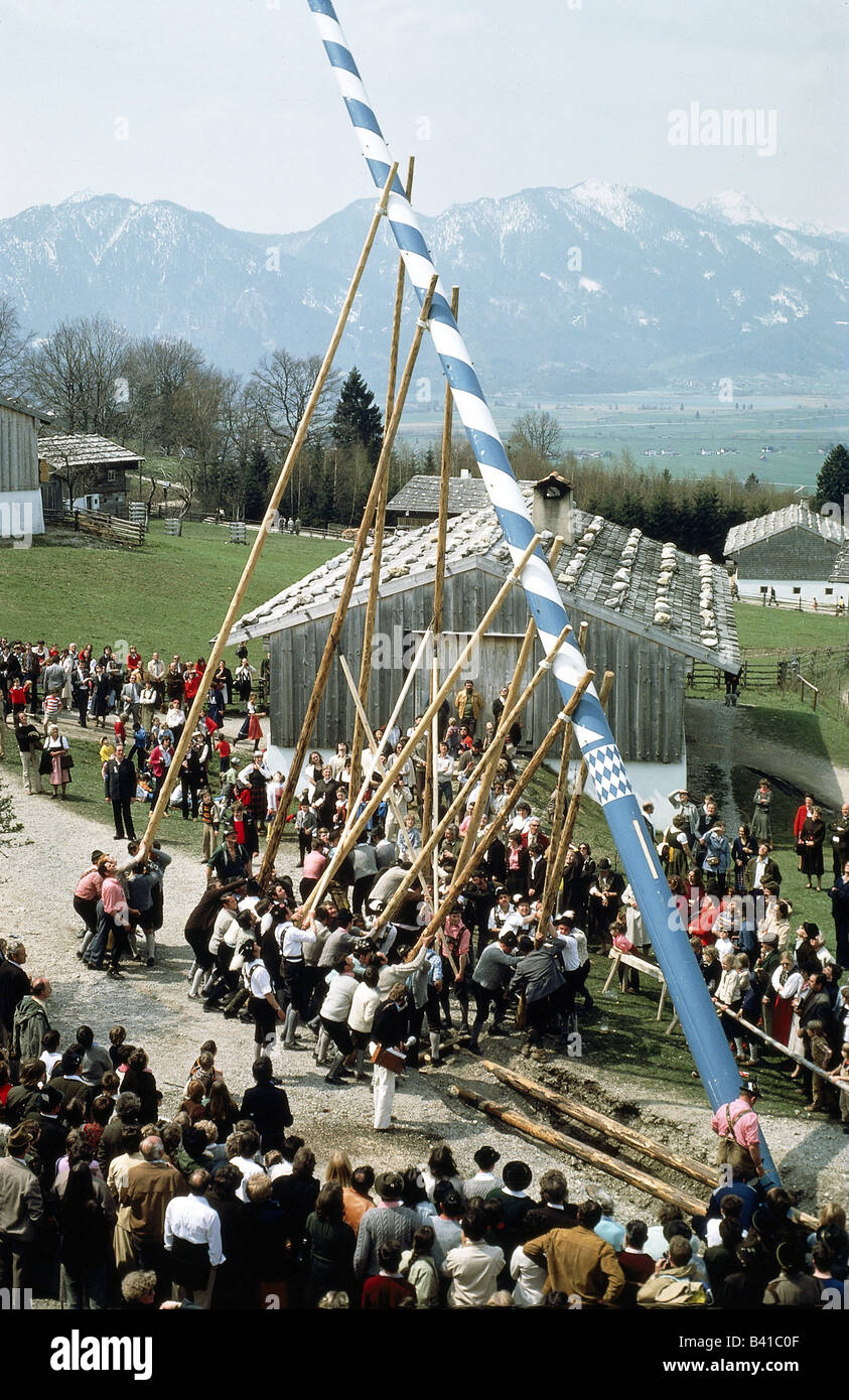 geography / travel, Germany, Bavaria, tradition, raising a Maypole Glentleiten, tradition Stock ...