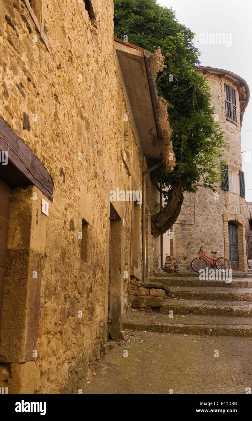 12 century house with tree growing through wall in Accumoli Italy Stock ...