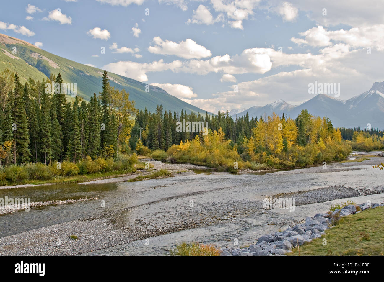 Autum leaves in Kananskis Country Alberta Canada Stock Photo - Alamy