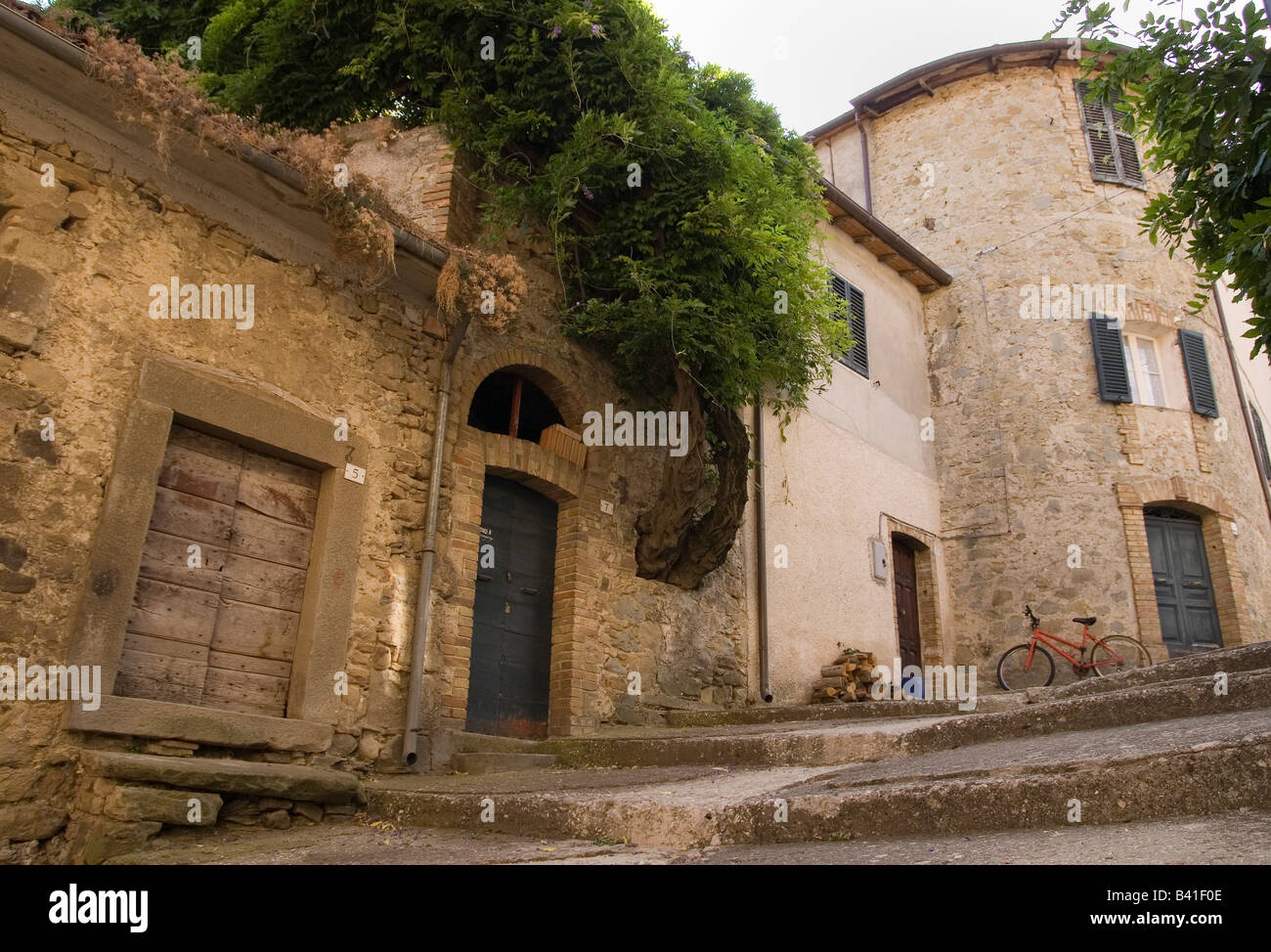 12 century house with tree growing through wall in Accumoli Italy Stock ...