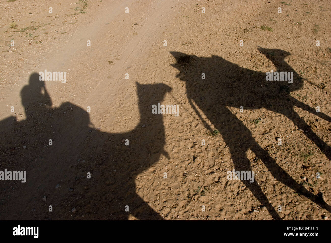Camel caravan shadow, Thar desert, Rahasthan India Stock Photo - Alamy
