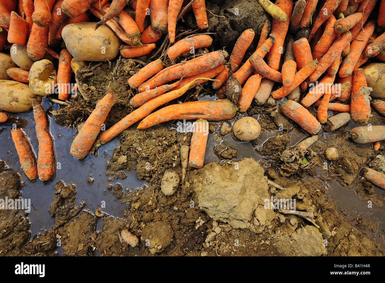 Crop waste hi-res stock photography and images - Alamy