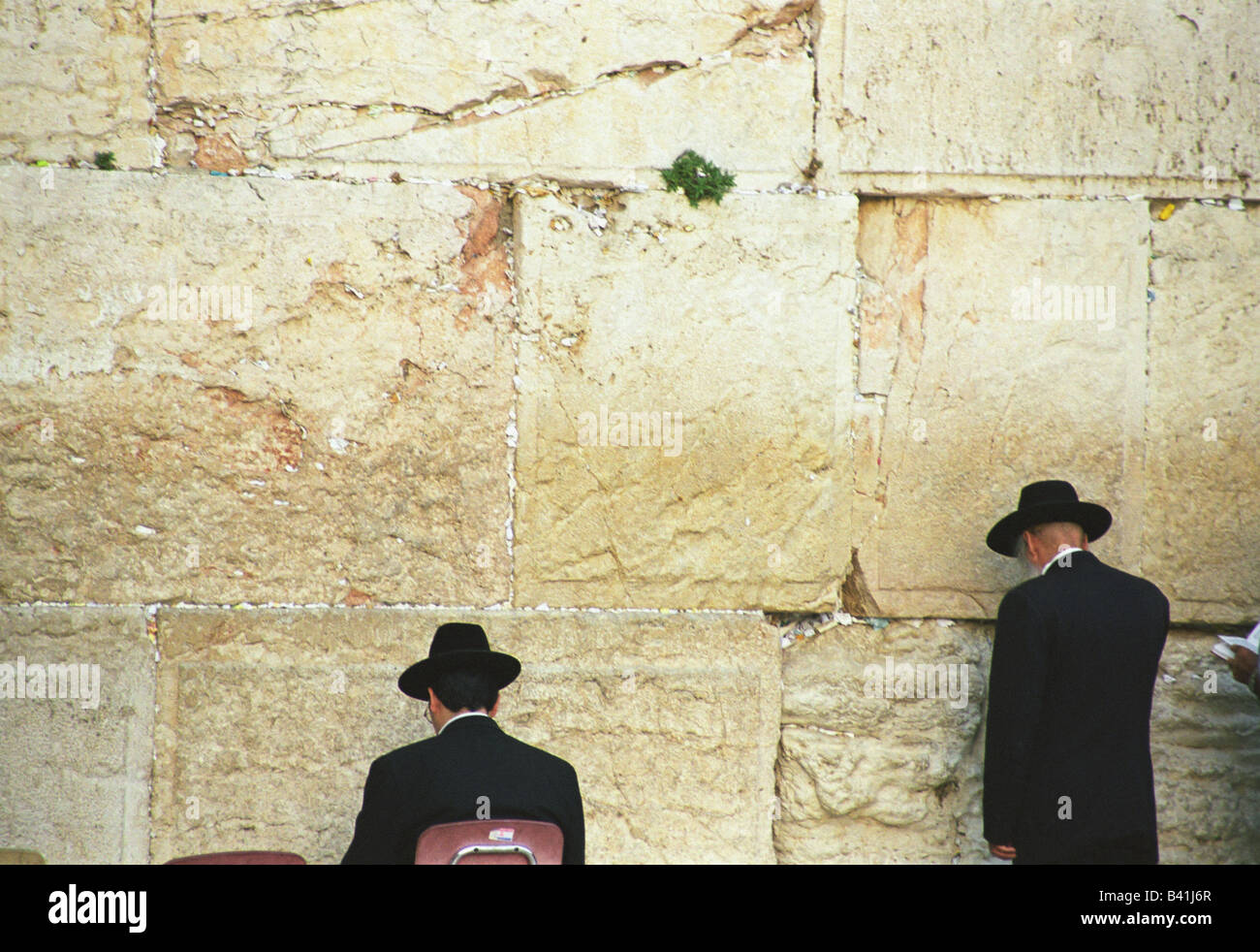 Two orthodox jews praying at the wailing wall in jerusalem, Israel ...