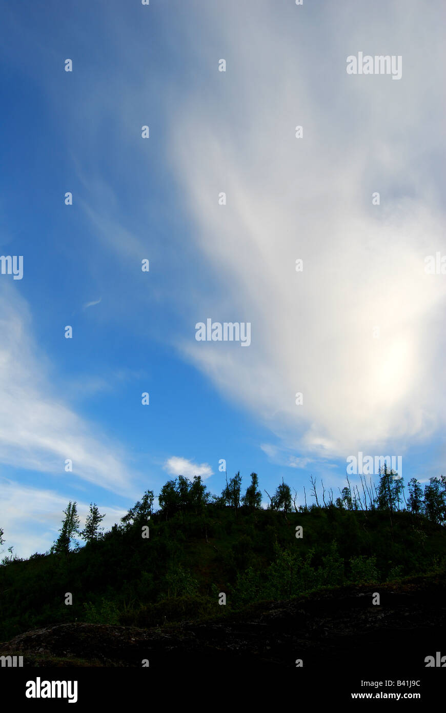 Cirrus cloud, Ruttjebacker, Hemavan, Swedish Lapland, Vasterbottenslan ...