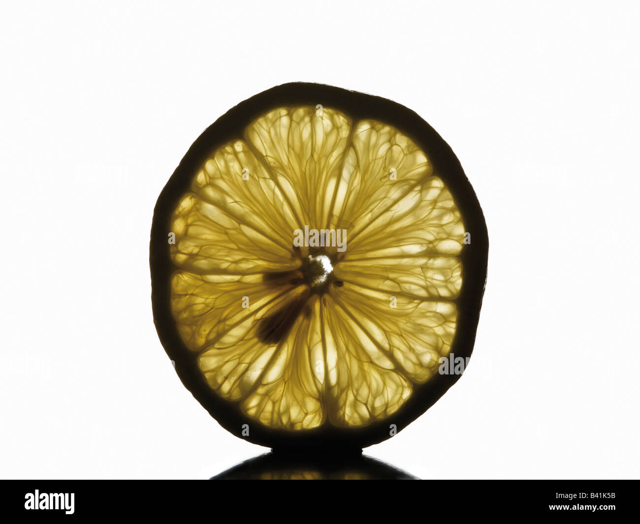 Backlit citrus fruit hi-res stock photography and images - Alamy