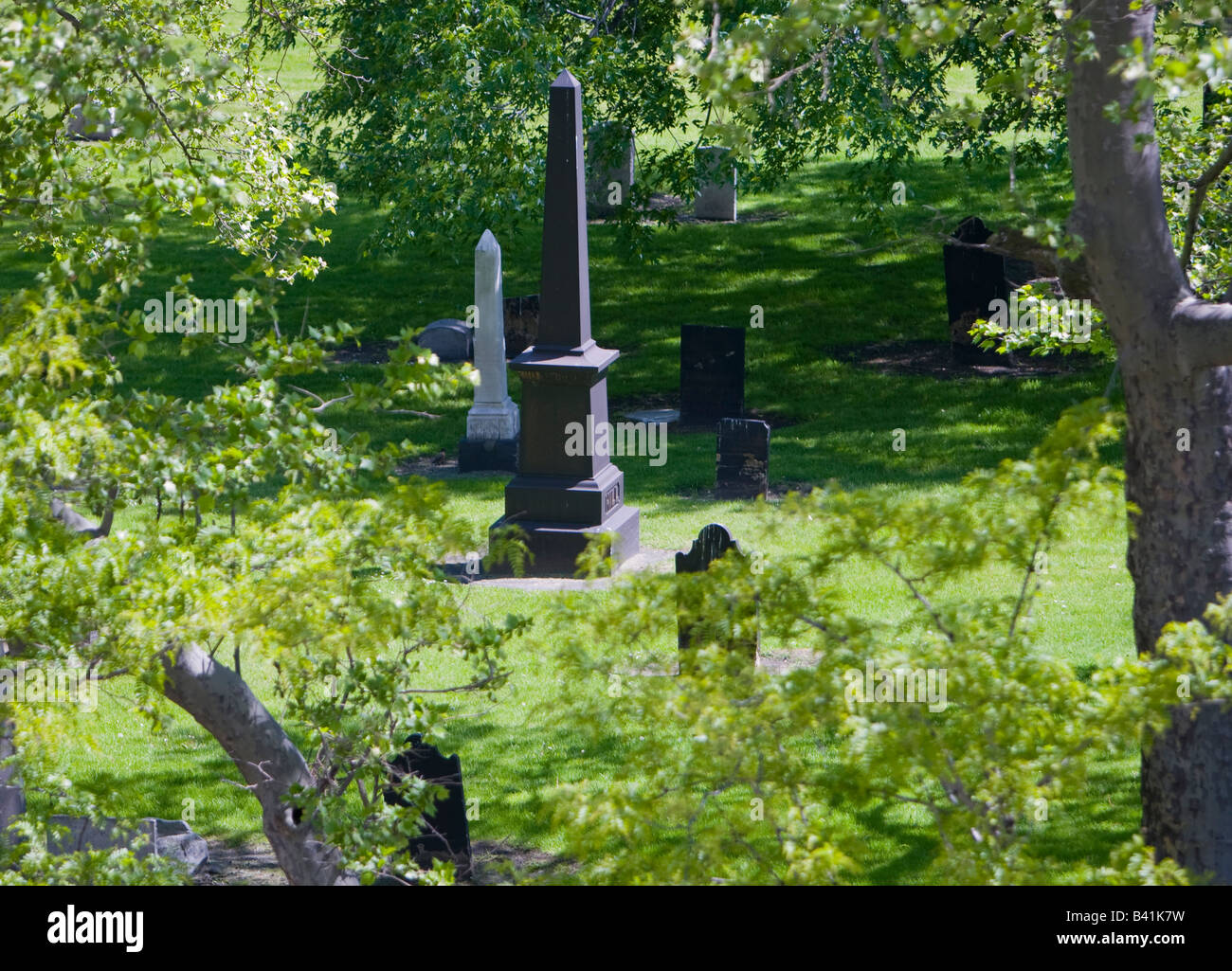 Cemetery seen through trees Stock Photo - Alamy