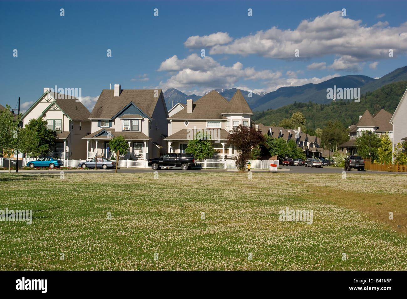 A suburban housing development featuring traditional style homes Stock ...