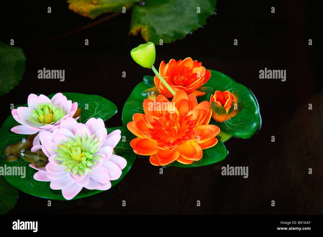 Floating plastic lotus flowers Stock Photo - Alamy