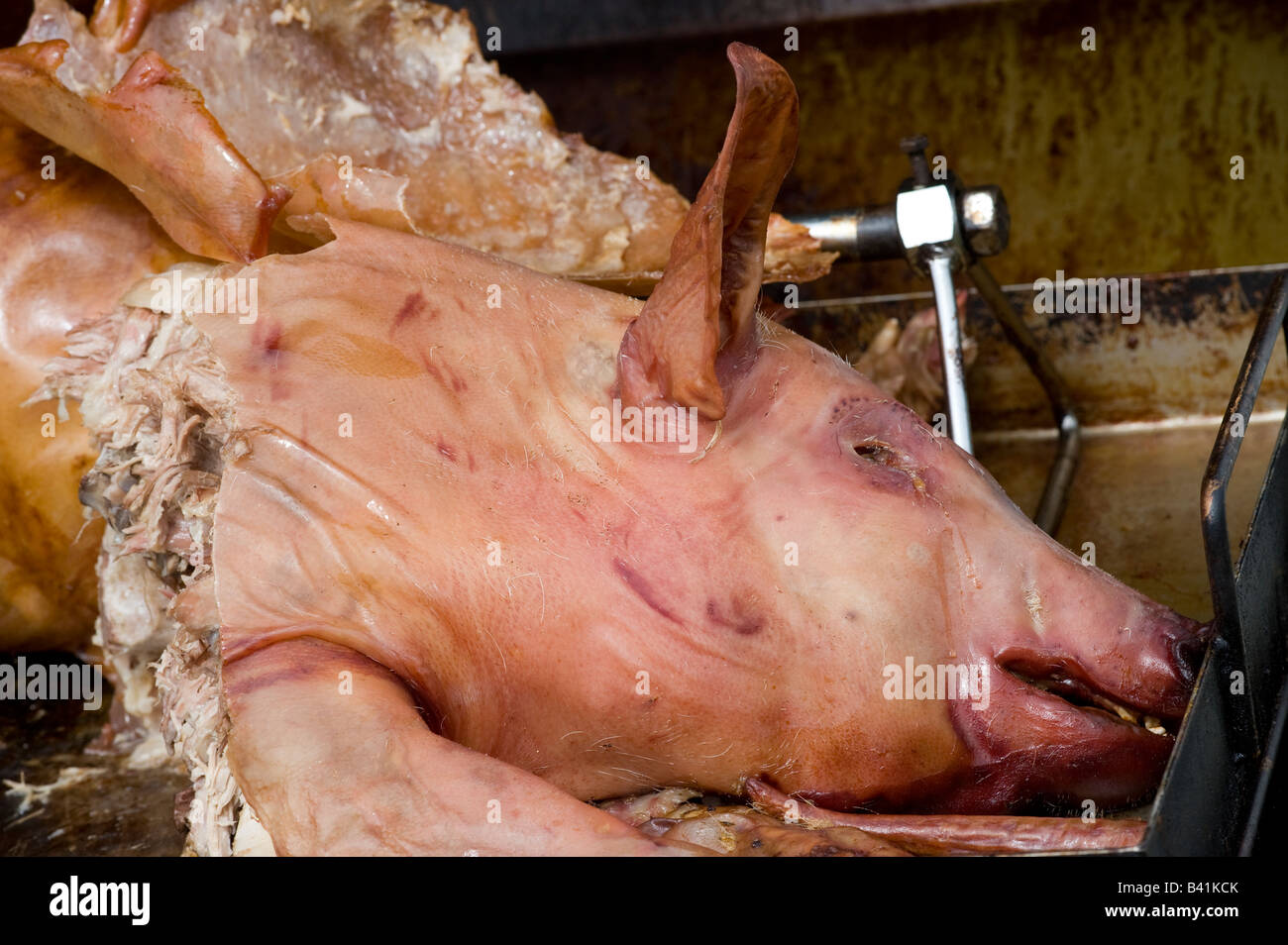 Roasted pigs head hi-res stock photography and images - Alamy
