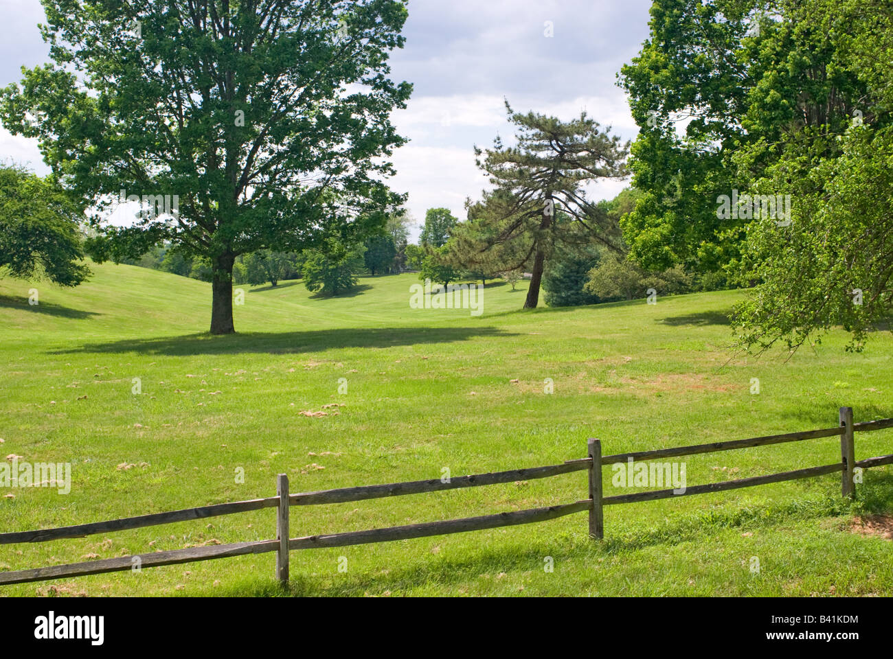 Grassy rolling meadow with trees in background and split-rail fence in ...