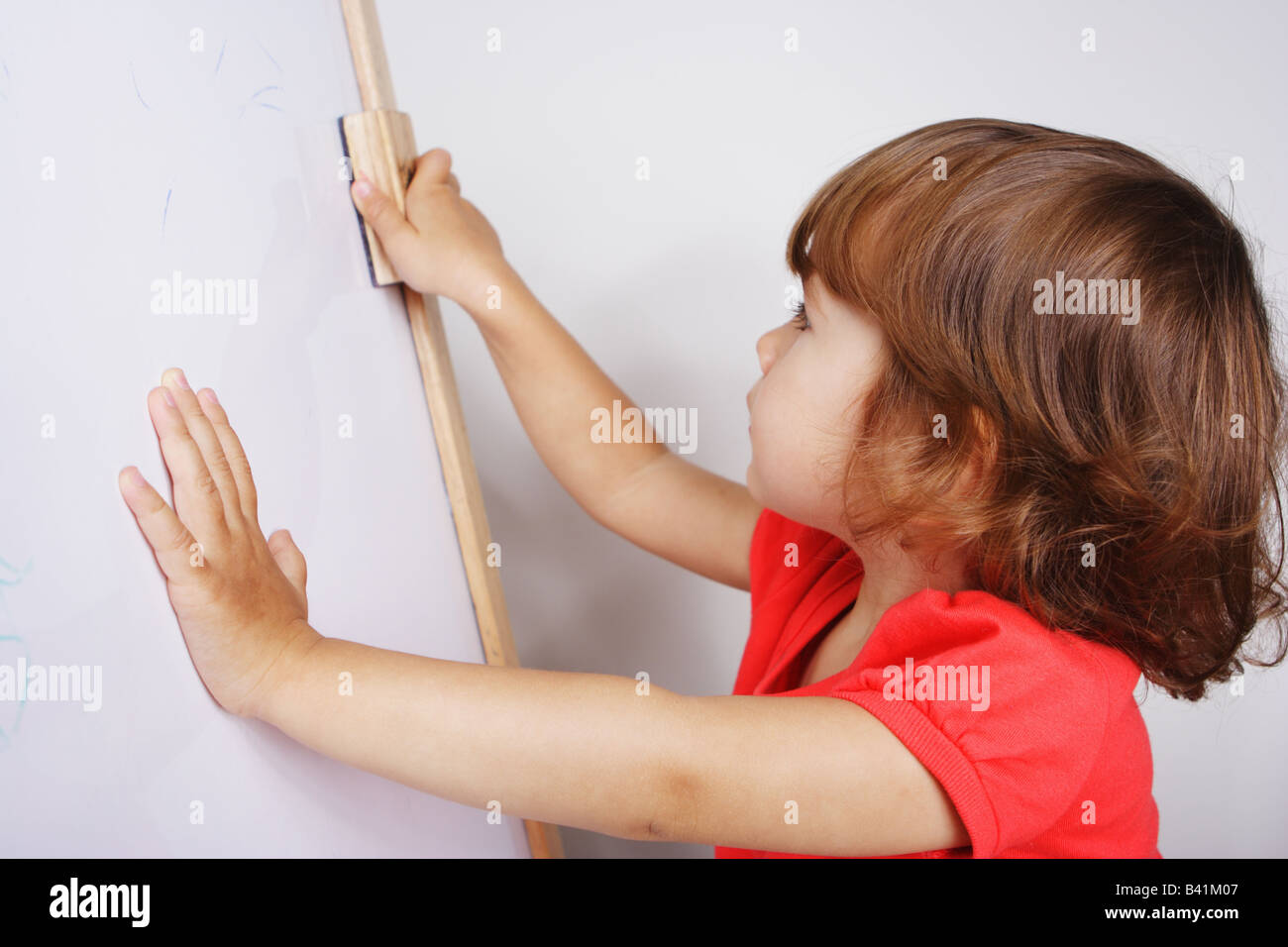 A two years old toddler girl is erasing her drawing from a whiteboard ...