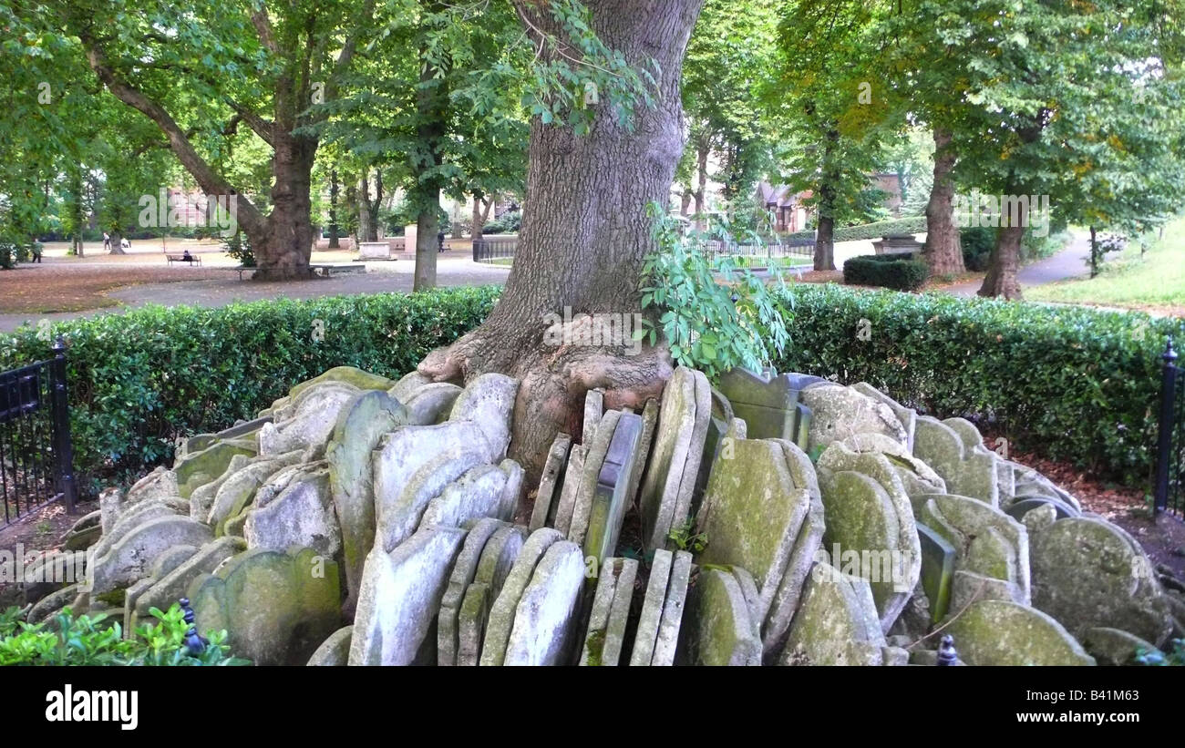 Hardy tree st pancras hi-res stock photography and images - Alamy