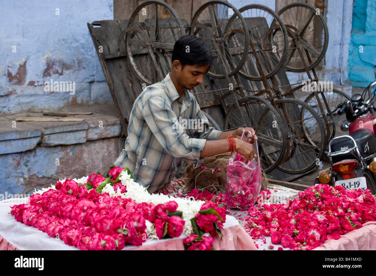 A man selling flowers on a street in Jodhpur blue city, Rajasthan ...