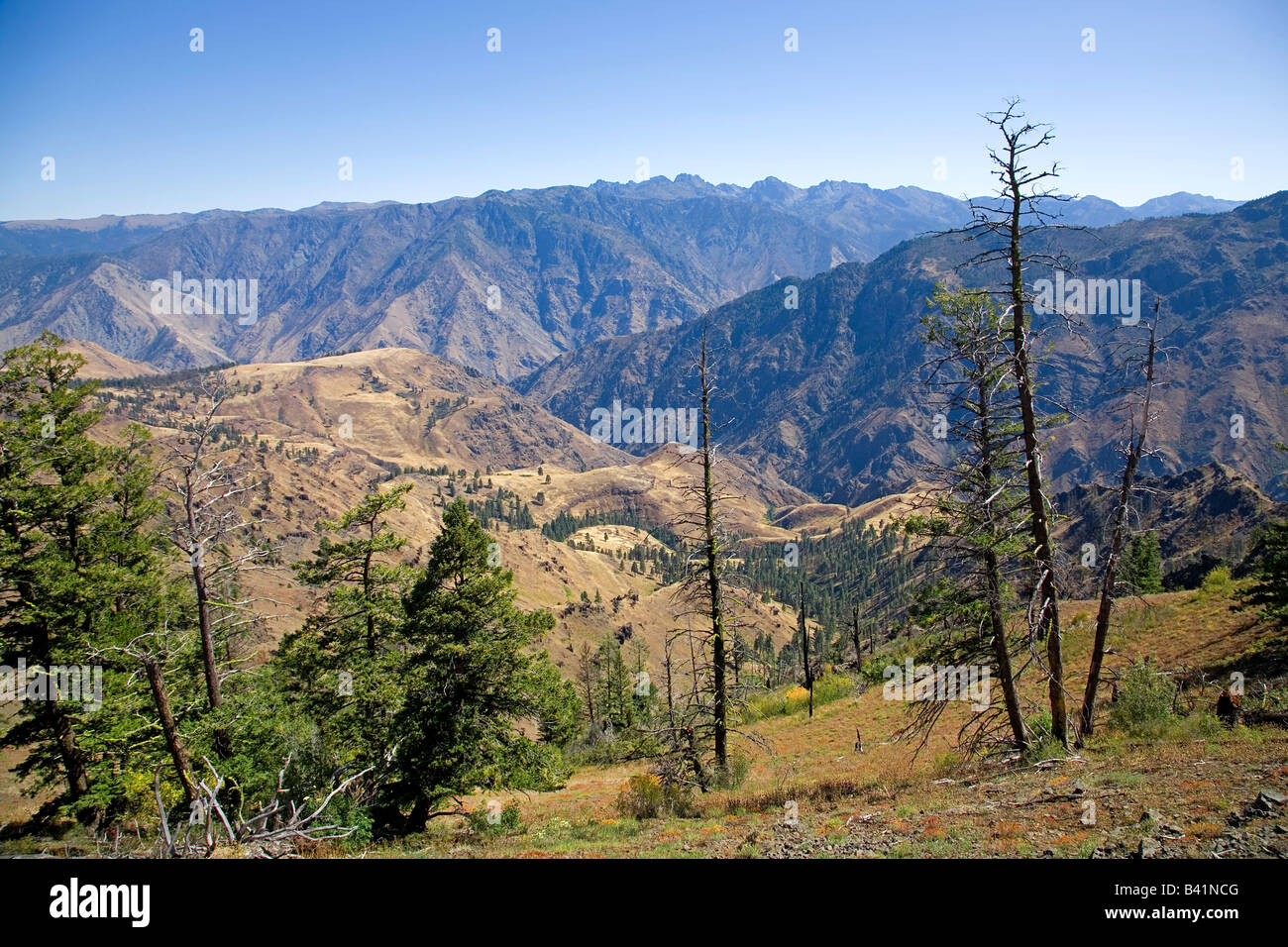 A view of the Hells Canyon National Recreation Area Snake River Gorge ...