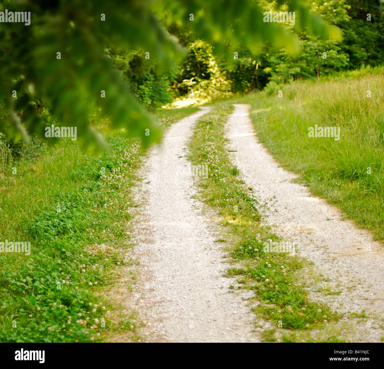 Gravel Lane High Resolution Stock Photography and Images - Alamy