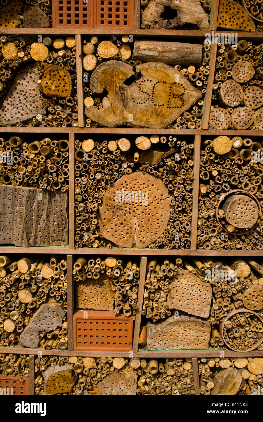 Insect House Wall Stock Photo - Alamy