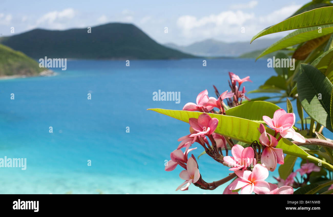 A view towards Great Thatch Island and Tortola from the Annenberg sugar ...