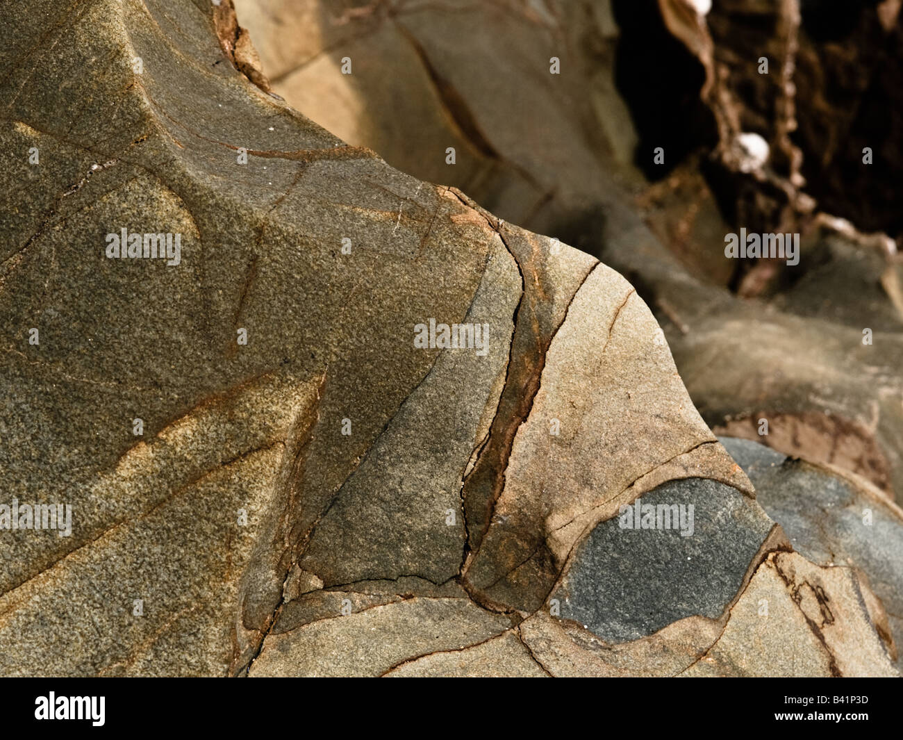 Studies details hi-res stock photography and images - Alamy