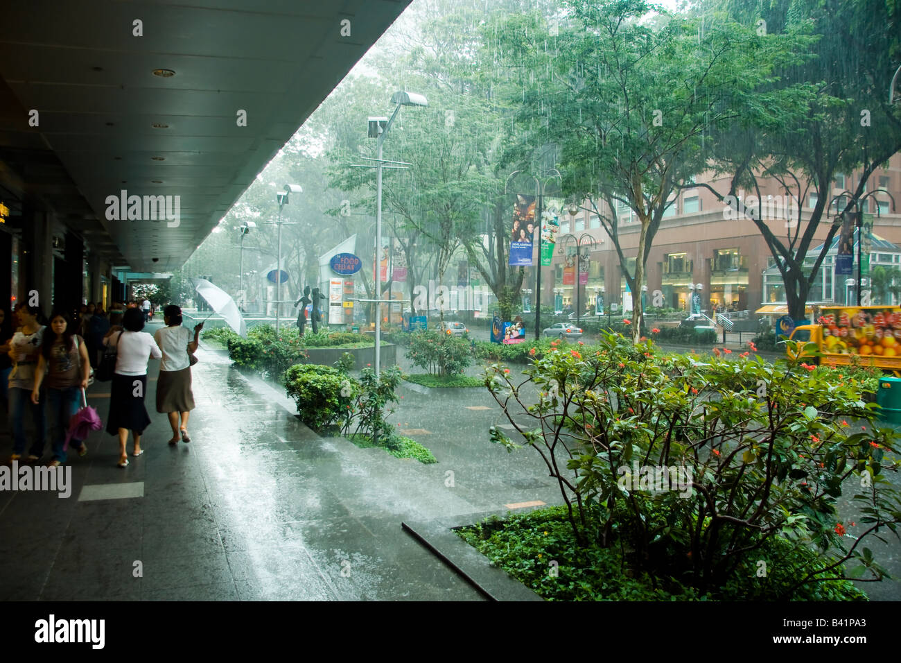 Monsoonal rain in singapore, orchard road Stock Photo - Alamy