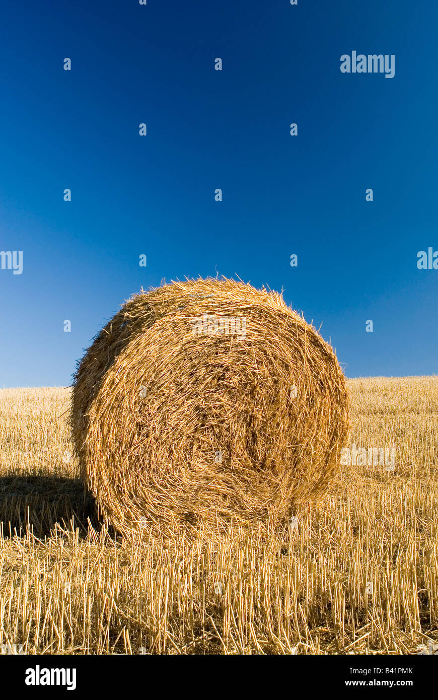 Blades Summer Ball High Resolution Stock Photography and Images - Alamy