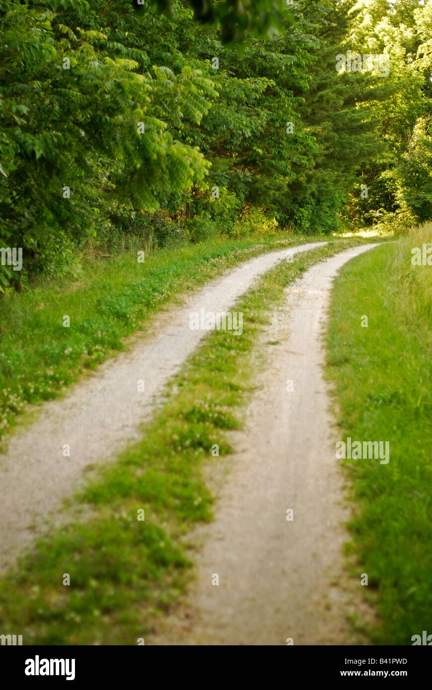 2 track Country lane through woods Stock Photo - Alamy