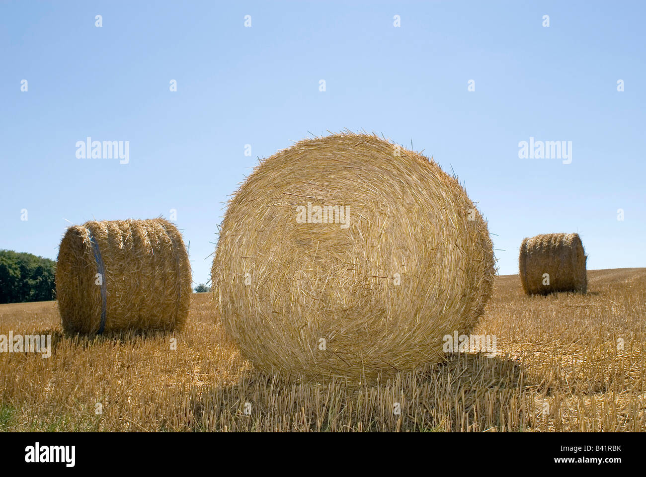 Straw ball on the field Stock Photo - Alamy