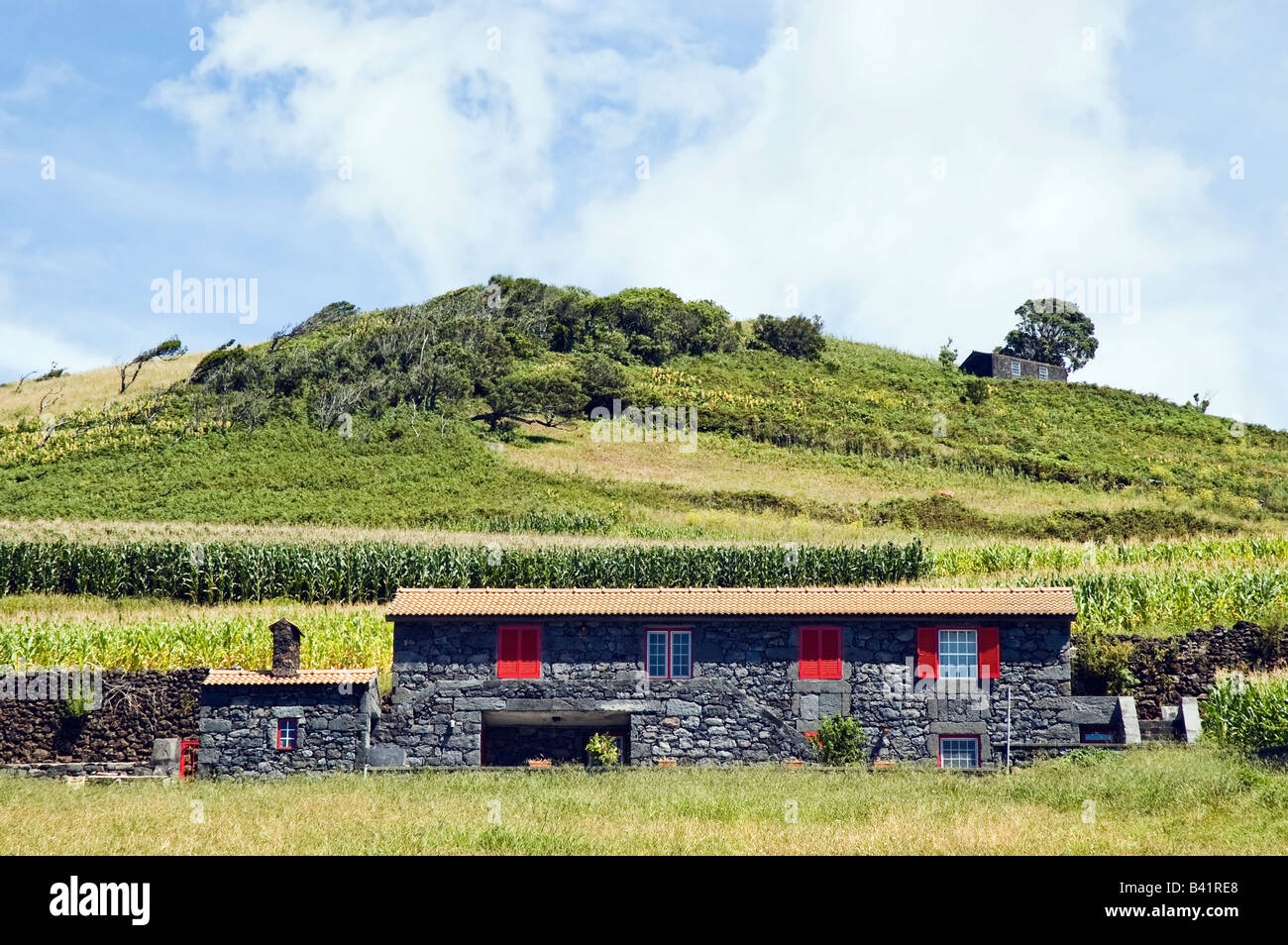 Beautiful farmhouse in a green landscape of Pico island Azores Portugal ...