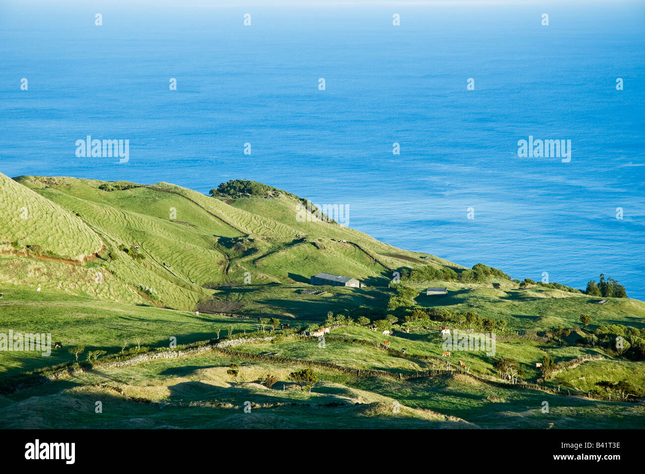 Idyllic green pasture landscape of Pico island Azores Portugal Stock ...