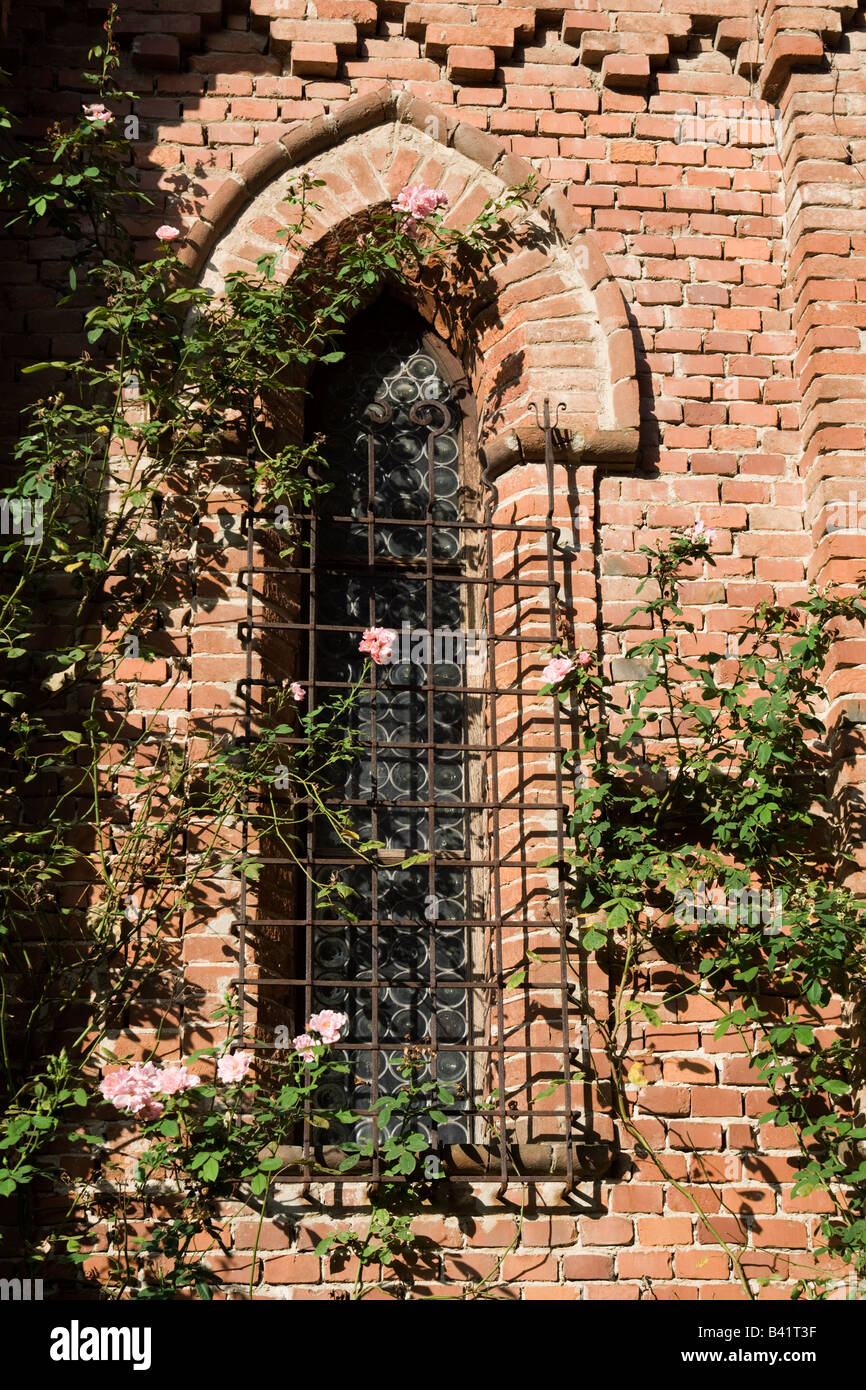 Antique window with roses Stock Photo - Alamy