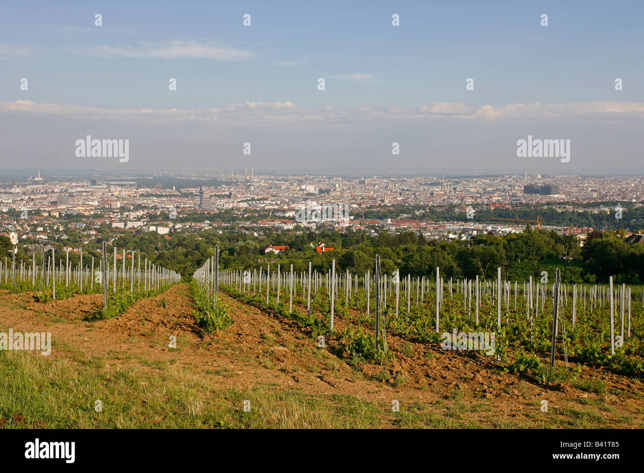 Austrian grinzing grinzing hi-res stock photography and images - Alamy