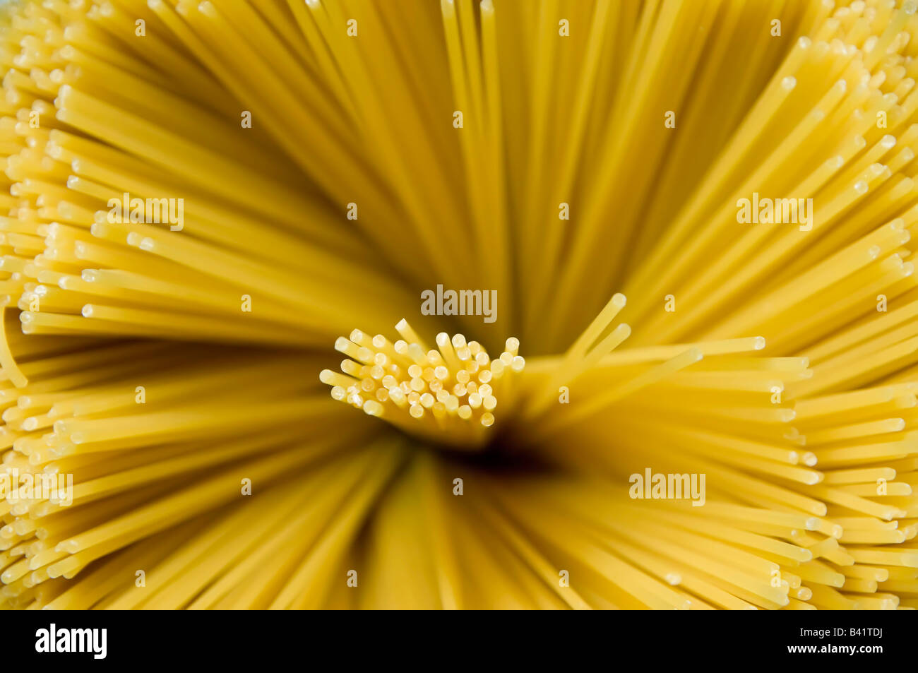 Spaghetti flower ends of durum semolina hard wheat arranged like ...