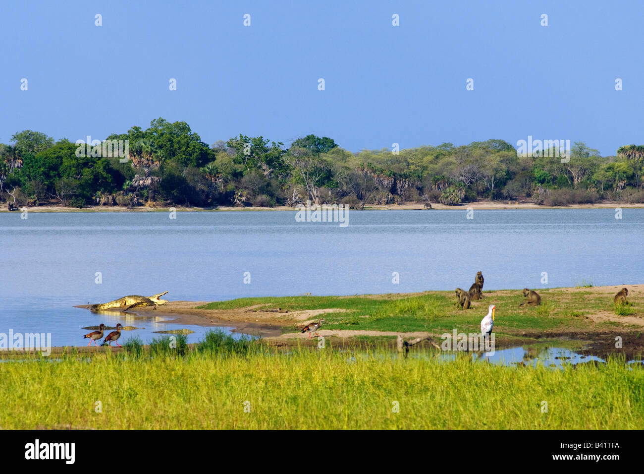 Rufiji river hi-res stock photography and images - Alamy