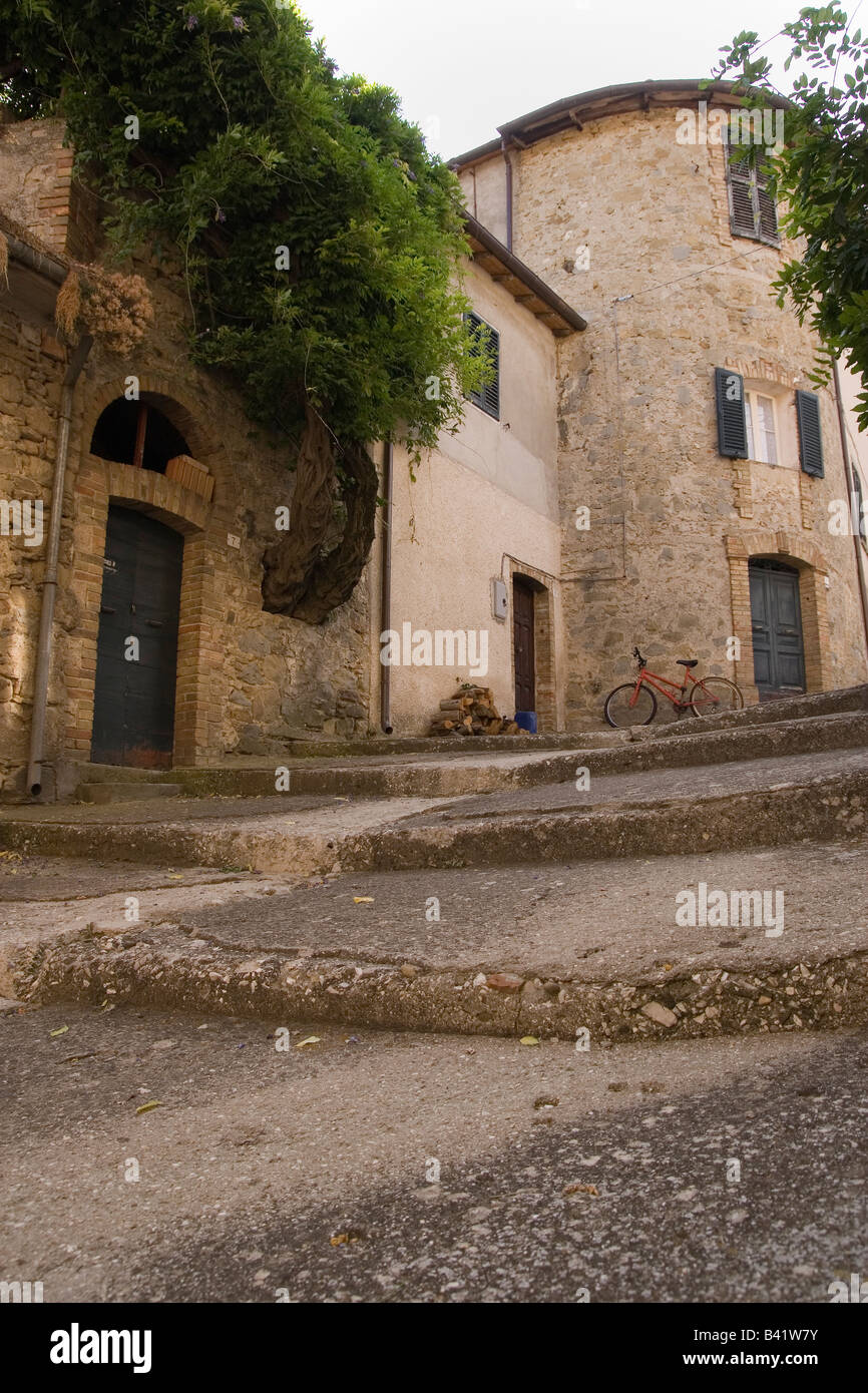 12 century house with tree growing through wall in Accumoli Italy Stock ...