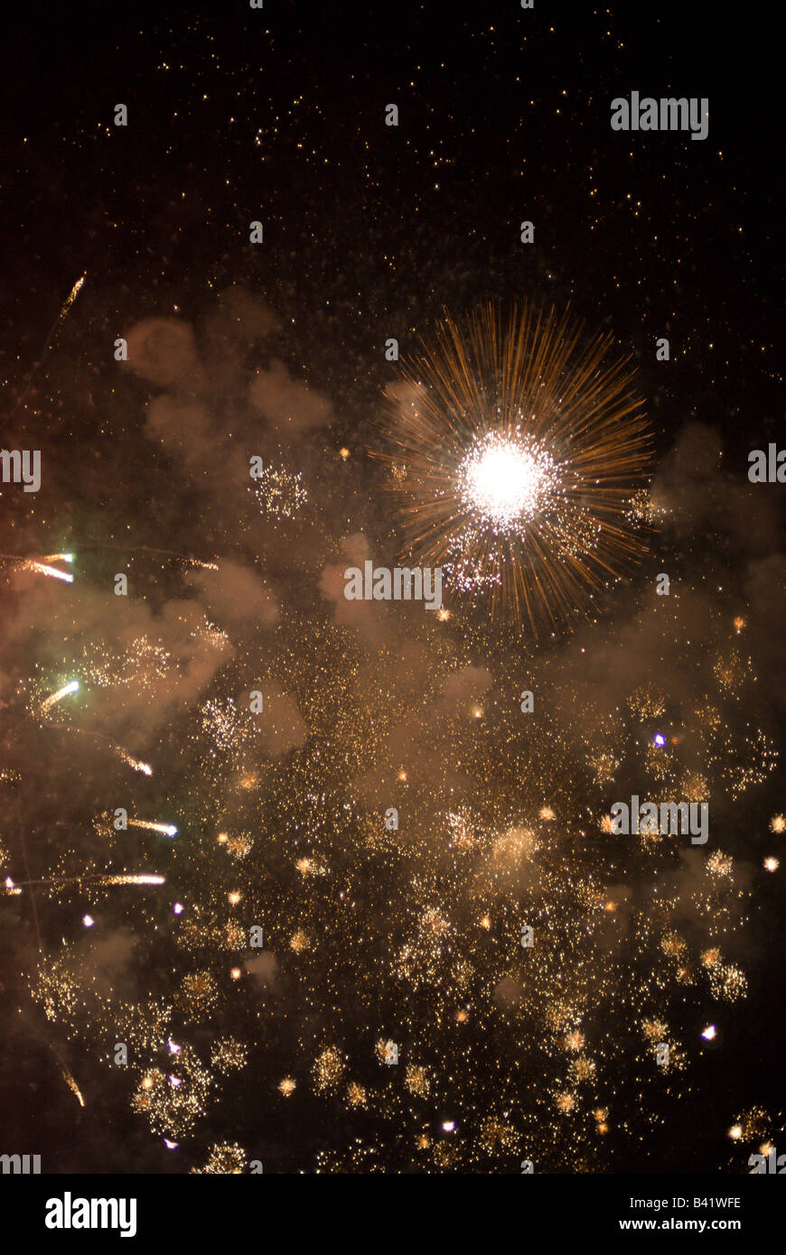 Fireworks explosion frozen by a fast shutter speed over Lake Suwa ...