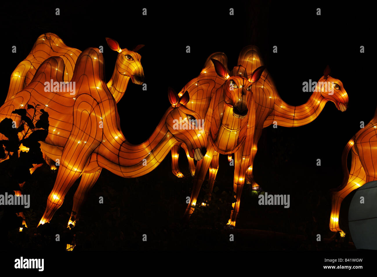 Animal lanterns hi-res stock photography and images - Alamy
